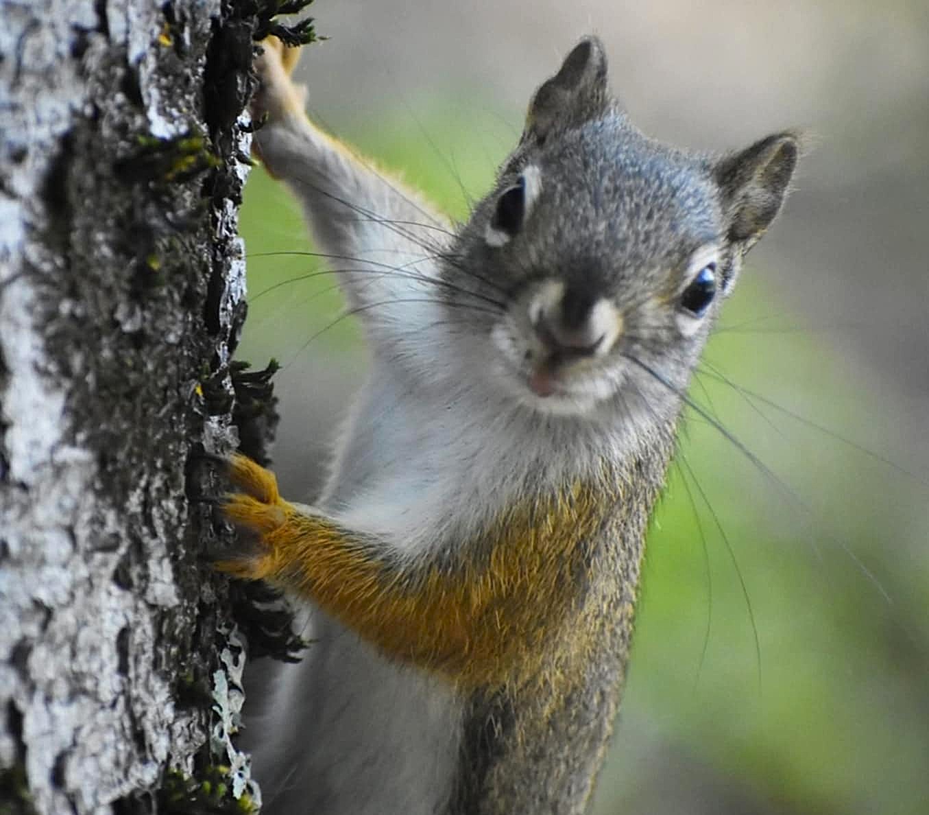 good things a-comin’ – michaeljordahl